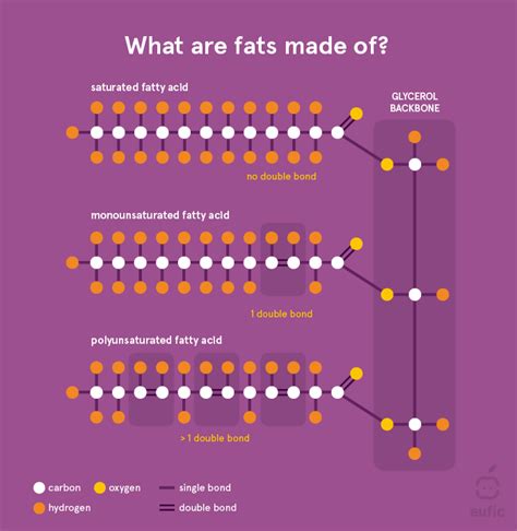 What Are Saturated Fats And Are They Bad For Our Heart Eufic