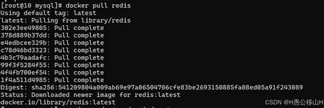 Linux基本环境配置 安装docker Redismysqllinux 安装 Docker Mysql Csdn博客