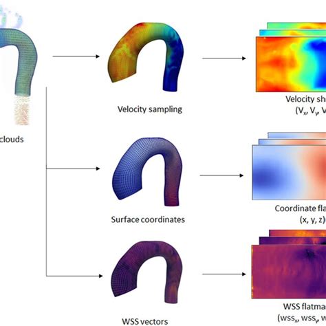 Overview Of The Extraction Process Performed On The Cfd Point Clouds Download Scientific