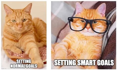 41 Goals Memes To Inspire A Successful 2023 Freejoint