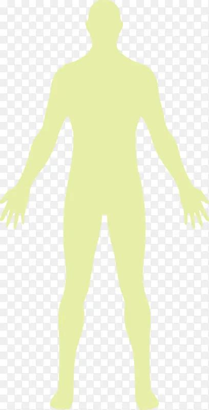 人体结构图png图片素材下载 图片编号8245229 Png素材网