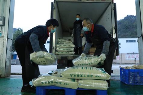 Decision First Guide To Automated Vehicle Loading Systems Smartloadinghub