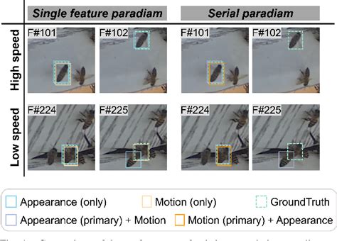 Topic A Parallel Association Paradigm For Multi Object Tracking Under Complex Motions And