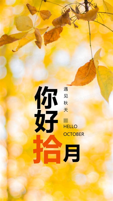 你好十月秋天手机配图海报设计图片下载psd格式素材熊猫办公