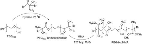 Schematic Representation For Preparation Of Peg200 B Pmma Download Scientific Diagram