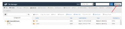 Shared Web Hosting LiteSpeed Web Hosting CPanel Reseller Hosting