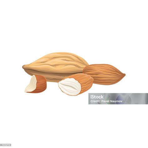 만화 한편 아몬드 견과류의 그려진된 아이콘 건강 식품 개념입니다 자연과 맛 있는 제품입니다 요리 재료입니다 유기농 채식 영양입니다 자세한 벡터 디자인 0명에 대한 스톡 벡터