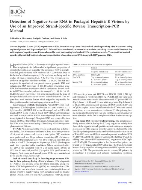 Pdf Detection Of Negative Sense Rna In Packaged Hepatitis E Virions