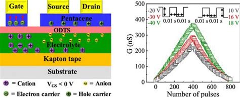 用于神经形态计算的柔性浮栅电双层有机晶体管 Acs Applied Materials And Interfaces X Mol
