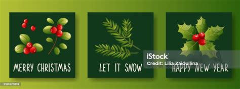 크리스마스 사각형 카드 세트 전나무 가지와 새해 복 많이 받으세요 Lingonberry 홀리와 홀리 녹색 잎과 빨간 열매와 비문 크리스마스와 새해를 축하합니다 12월에 대한