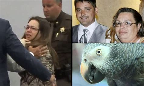 Elle Reconnue Coupable Du Meurtre De Son Mari Car Le Perroquet A Tout