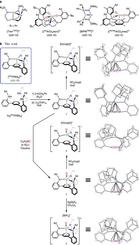 Selected Chelating Ligands Previously Reported And Synthesis And