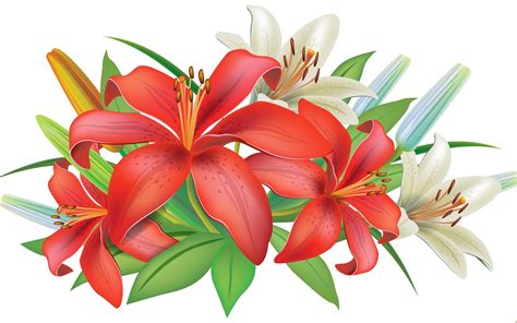 Лилии вектор фото и картинки Abrakadabra Fun