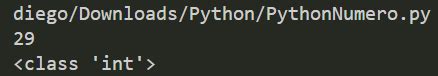 Como Converter Texto para Número Python