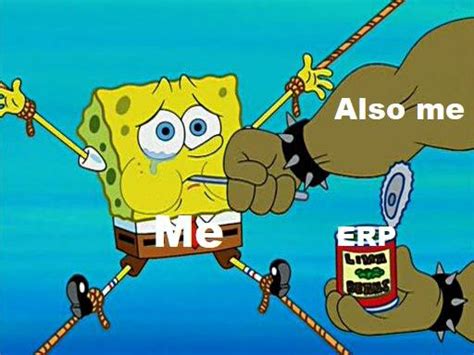 Erp In A Nutshell R Ocdmemes