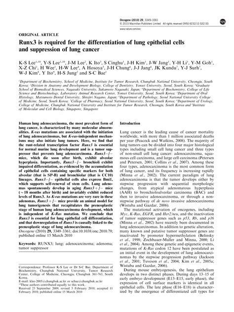 PDF Runx3 Is Required For The Differentiation Of Lung Epithelial Cells And Suppression Of Lung
