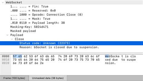 error invalid websocket frame invalid status code 22373 · issue 1922