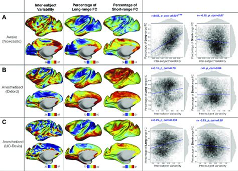Interindividual Variation Of Functional Connectivity Fc And Download Scientific Diagram