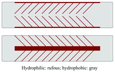 Schematic Detailing Hydrophobichydrophilic Patterned Surfaces 76