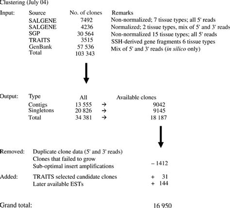 Summary Of Clustering Procedure And Probe Selection For The Cdna
