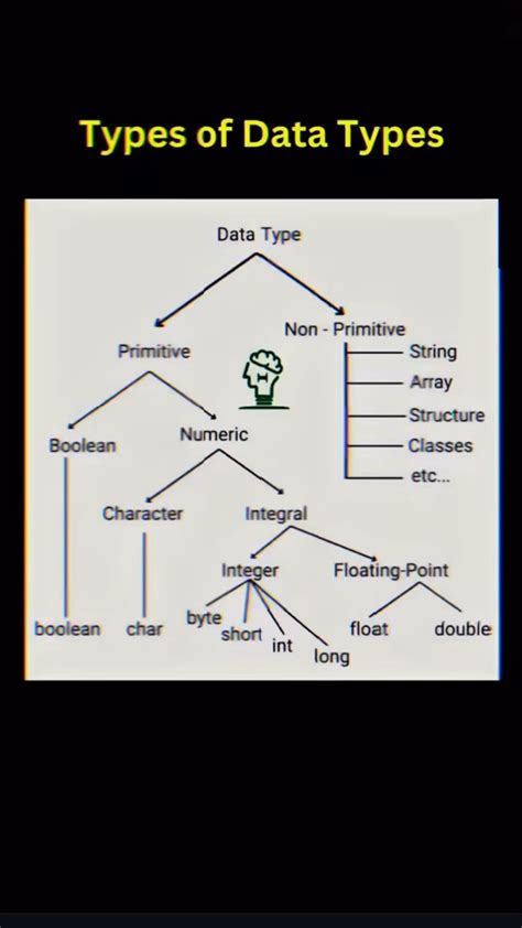 Python Programming Pythonacademia • Instagram Photos And Videos