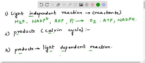 Light Dependent Reaction Equation