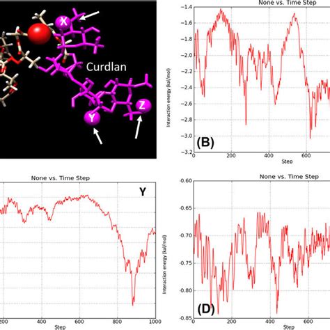 Rna Seq Transcriptome Analysis Identifies Metabolism Enzymatic