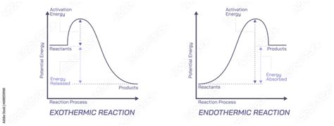Endothermic And Exothermic Reaction Diagram Vector Illustration Reactants And Product Image