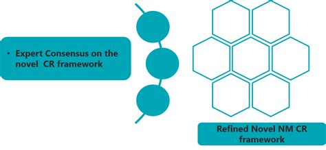 The Research Phases