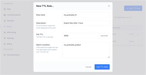 Expiring Files With Ttls Documentation