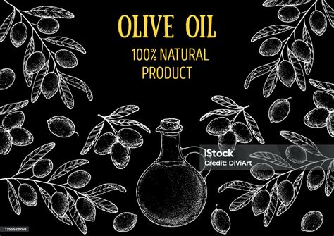 올리브 가지 오일 주전자 스케치 손으로 그린 벡터 그림 디자인 템플릿입니다 건강한 음식 일러스트레이션 올리브 오일 프레임 건강한 식생활에 대한 스톡 벡터 아트 및 기타