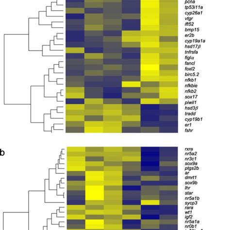 Heatmap Of The Microarray Expression Data For 49 Out Of 5 Download