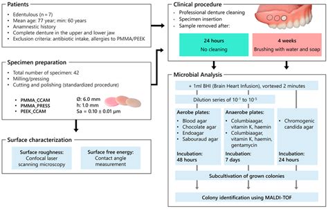 Colony Forming Units Identified On The Different Materials In The Download Scientific Diagram