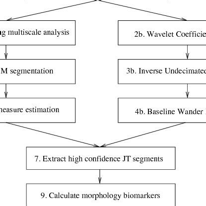 Flowchart Of Automated ECG Analysis System For Characterisation Of Download Scientific Diagram