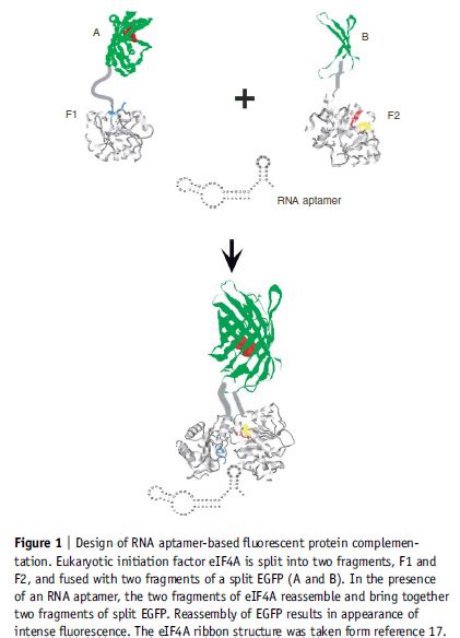 Teamnymu Taipeiprojectspeedy Reportermaterials And Methods