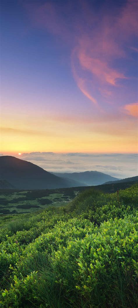 天空 云 自然风景 竖屏 壁纸 壁纸高清