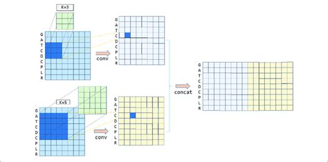 Multi Kernel Cnn To Extract Anticancer Peptide Sequence Features