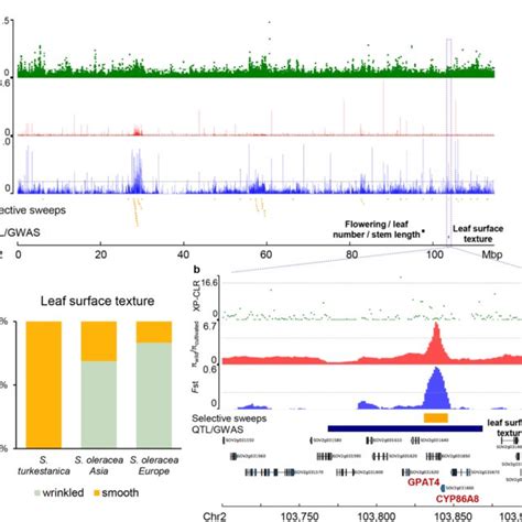 Genome Wide Screening And Functional Annotations Of Domestication Download Scientific Diagram