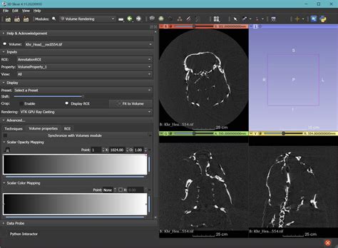 volumerendering simplification thoughts · issue 127 · slicermorph
