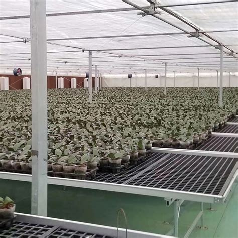 种植槽系统 移动苗床 多层种植货架 潮汐苗床 物流苗床 潮汐面板 立体旋转育秧床 河北博超温室设备有限公司
