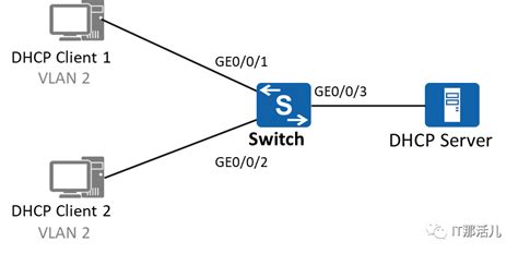 Dhcp Snooping技术 墨天轮
