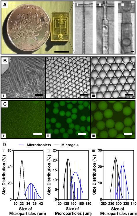 Figure 4 From Digital Light Processing 3d Printing For Micro Uidic Chips With Enhanced