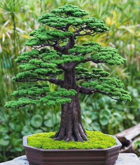 Пин от пользователя S H A на доске مرات الحفظ السريع Худые девушки Фотографии девочек