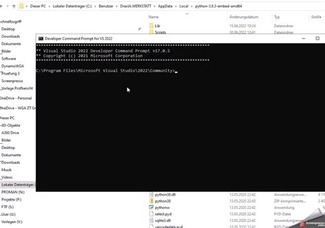 How To Prune Duplicate Points With Tolerance In Python Revit Dynamo