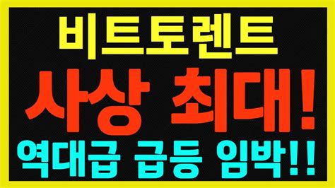 비트토렌트 이제 수일 내 코인 시장에 큰일 벌어진다 Youtube