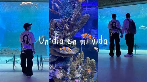 Mini Vlog 🐟☁️ Introvert Diaries Youtube