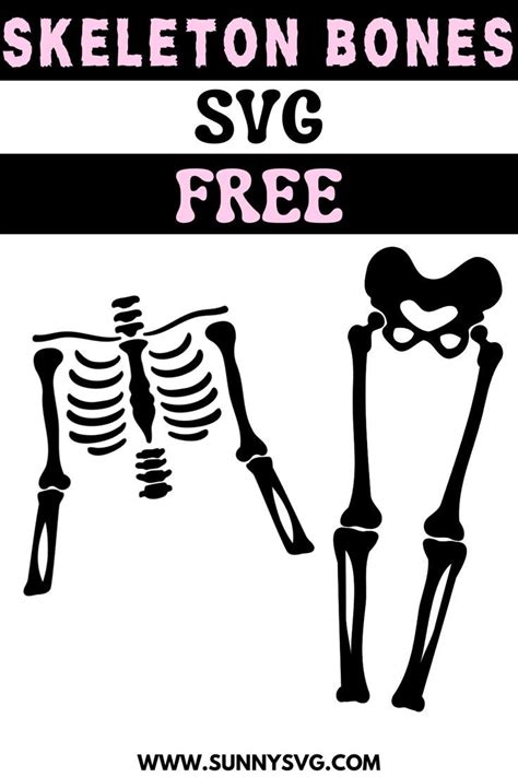 Skeleton Svg Free Artofit