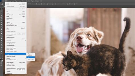 How To Fix Could Not Complete Your Request Because Of A Program Error In Photoshop Psd Vault