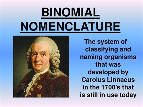 Binomial Nomenclature Ppt Download