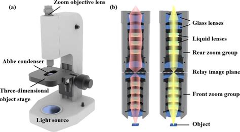 Schematic Structure Of The A Proposed Microscope And B The Zoom